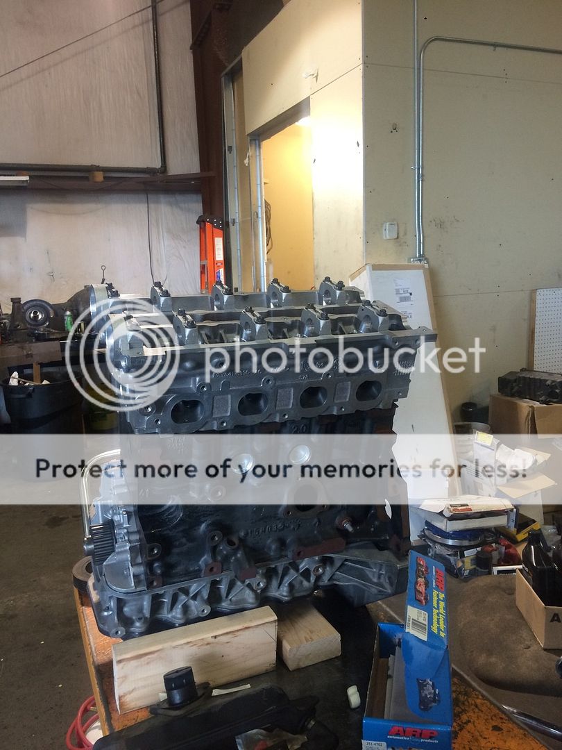 2001 Focus SE Build | Page 2 | Focus Fanatics Forum