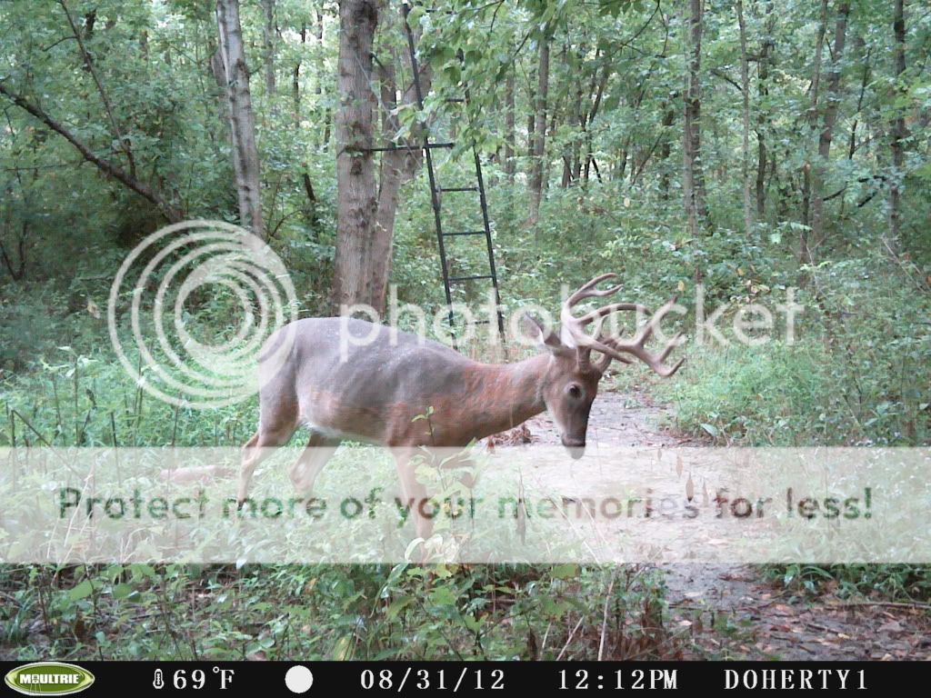 Team #46 - Follow Your Does | Page 7 | Archery Talk Forum